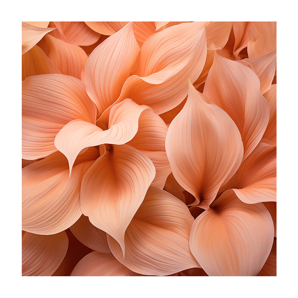 Acoustic pictures for your office - highest quality from the ...